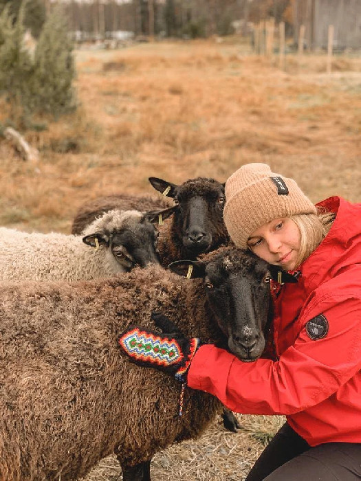 Our Way of Life at Saariniemi Estate - Authentic Living in Lapland